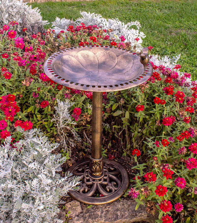 Resin Bird Bath – Backyard Expressions