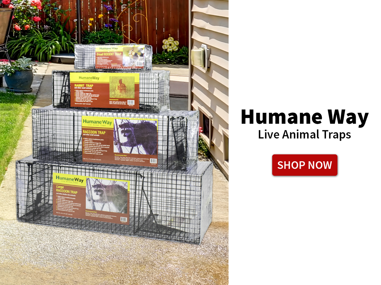 Backyard Expressions